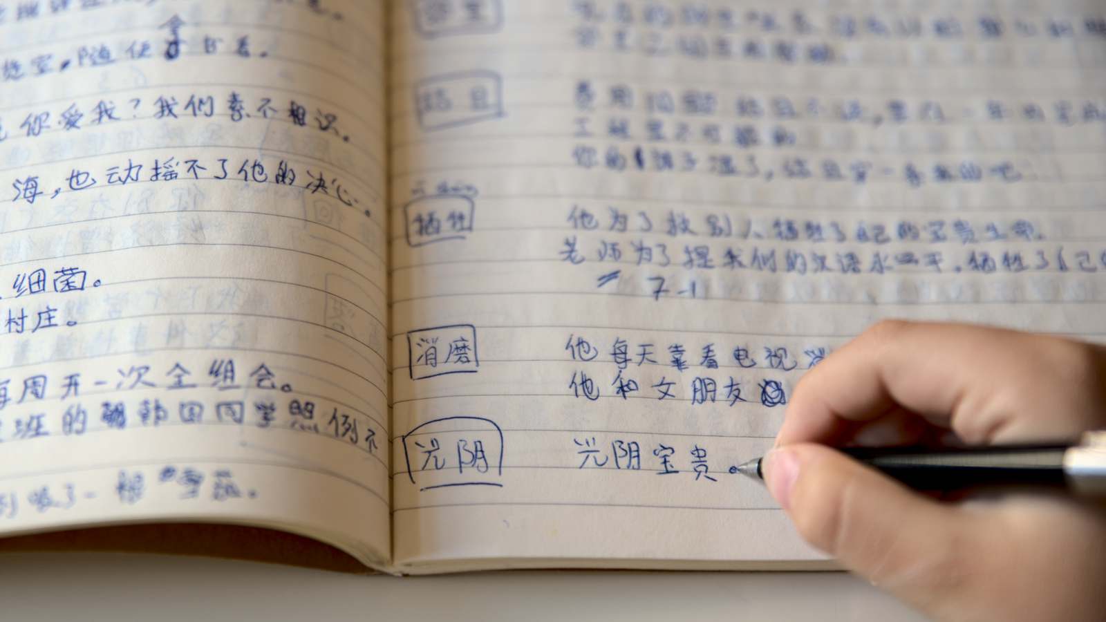 Is it time to quit learning that language? - Face Dragons